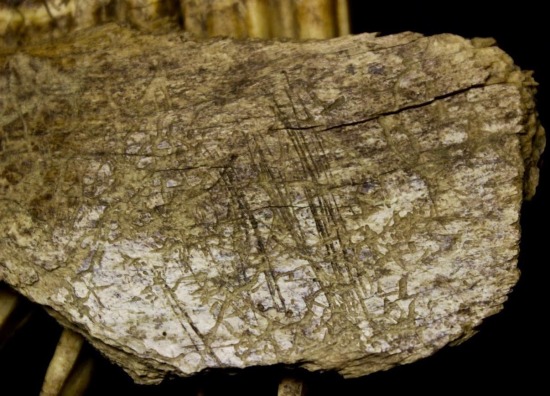 Spring 2017 – Popular Archeology