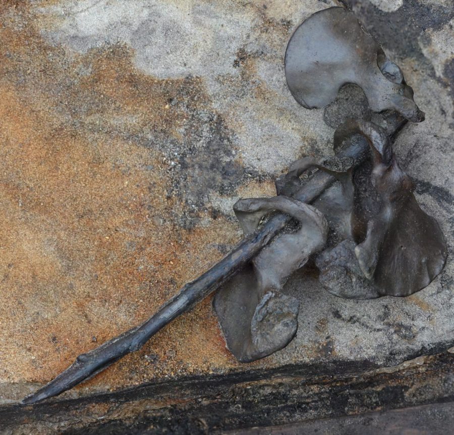 Archaeological finds illuminate Roman Empire battle – Popular Archeology