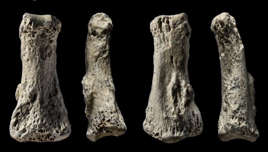 One Small Arabian Finger Bone – Popular Archeology