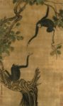 The lady’s ape: Extinct gibbon discovered in royal ancient Chinese tomb ...