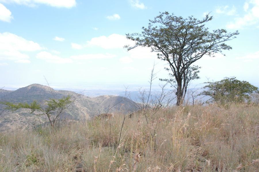 Olorgesailie – Popular Archeology