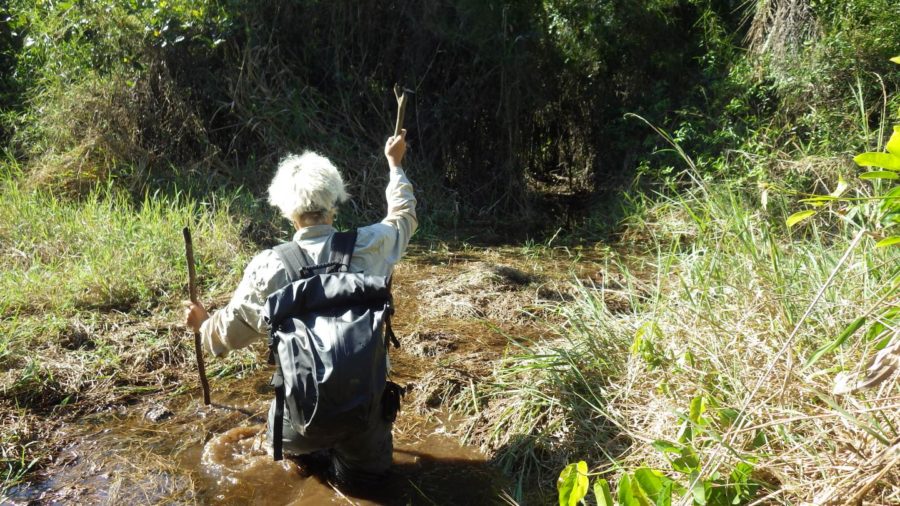 Ancient farmers transformed Amazon and left an enduring legacy on the ...