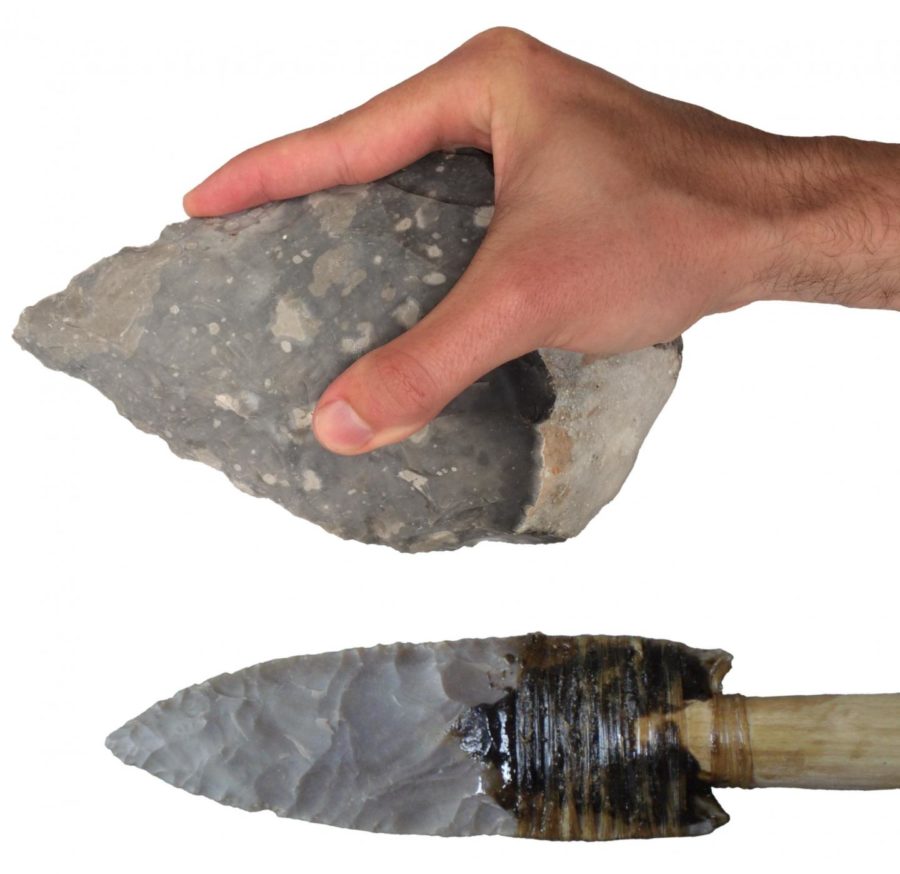 Stone tools reveal modern human-like gripping capabilities 500,000 ...