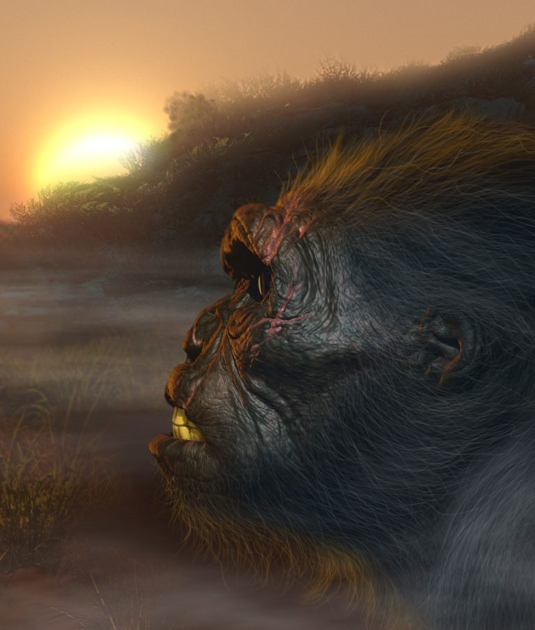 Precision or Power? Evidence for Precise Hand Movements in Neanderthals ...