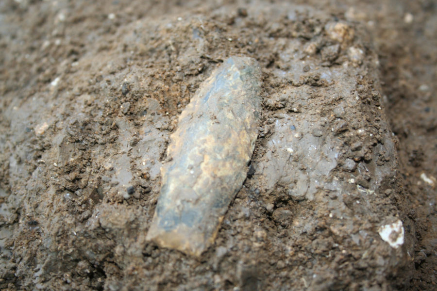 New Projectile Point Style Could Suggest Two Separate Migrations into ...