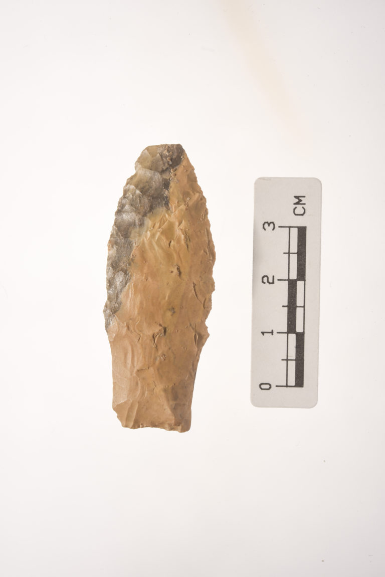 New Projectile Point Style Could Suggest Two Separate Migrations into ...