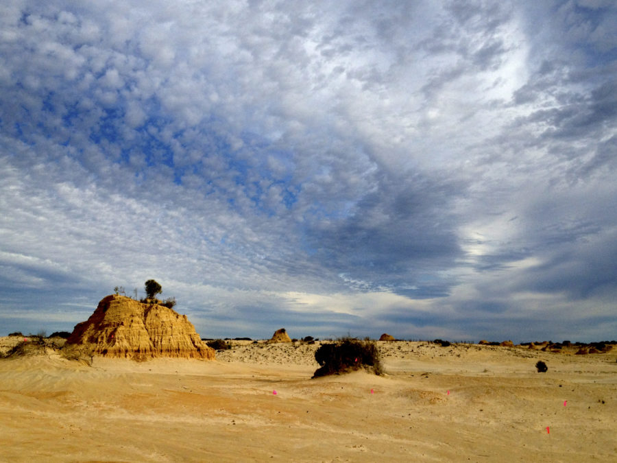 Returning Indigenous Remains to Their Ancestral Lands, Thanks to ...