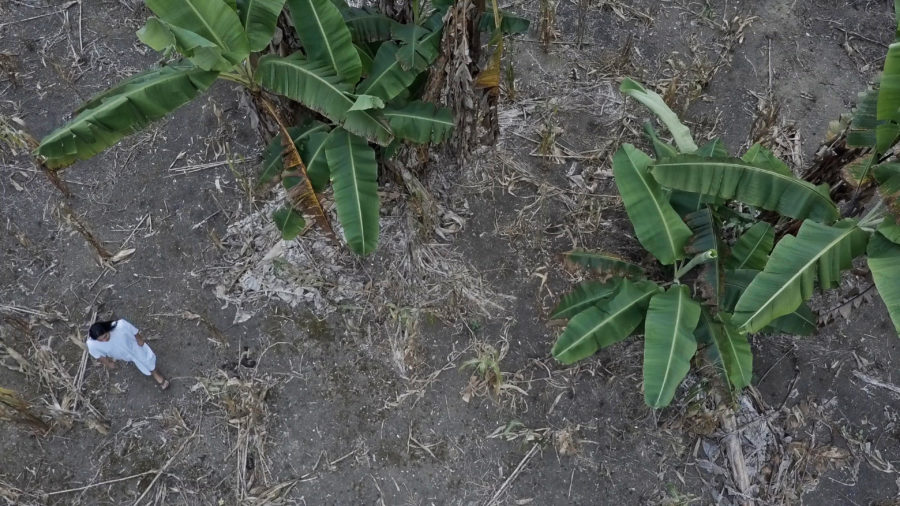 The Milpa Way – Popular Archeology