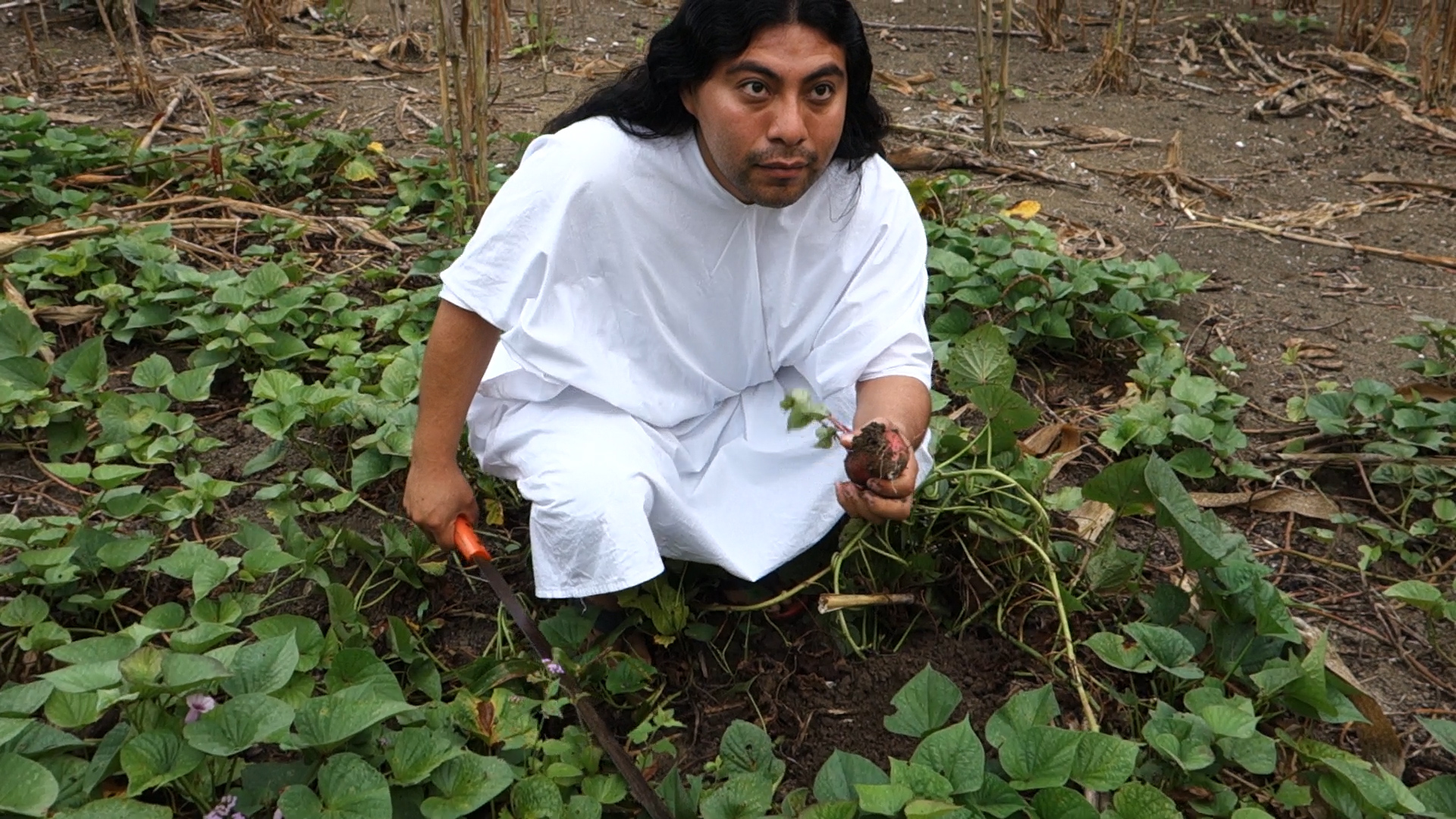 The Milpa Way – Popular Archeology