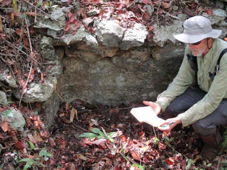 UC researchers find ancient Maya farms in Mexican wetlands – Popular ...