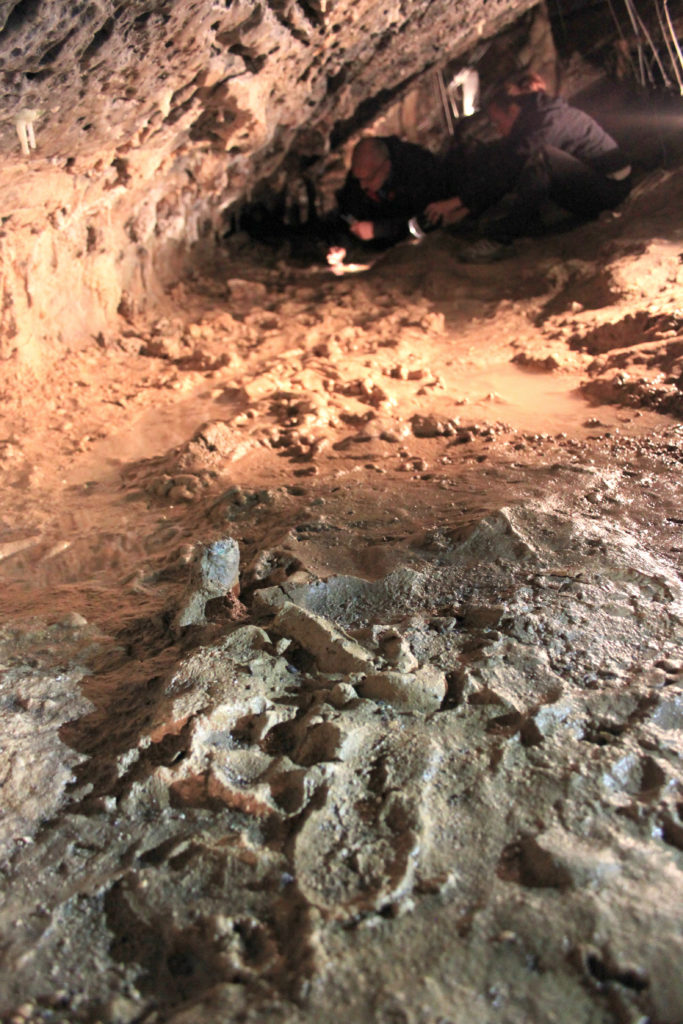 Traces of crawling in Italian cave give clues to ancient humans’ social ...