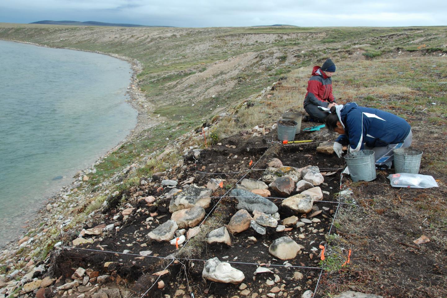 Ancient DNA sheds light on Arctic hunter-gatherer migration to North ...