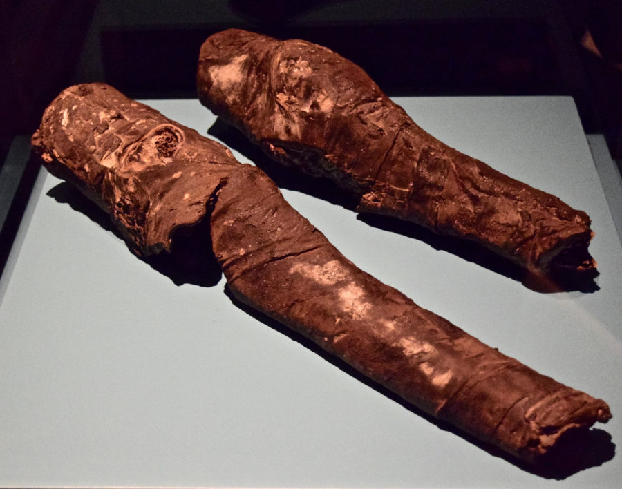 Nefertari’s Tomb – Popular Archeology