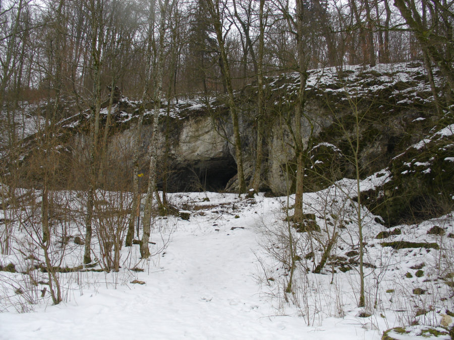 Ancient DNA Analysis Adds Chapter to the Story of Neanderthal ...