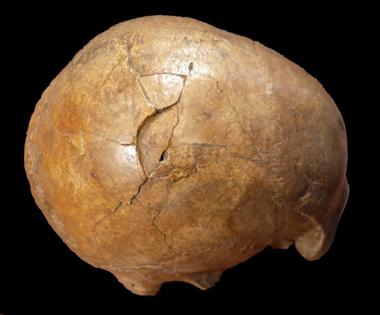 Murder in the Paleolithic? Evidence of violence behind human skull ...