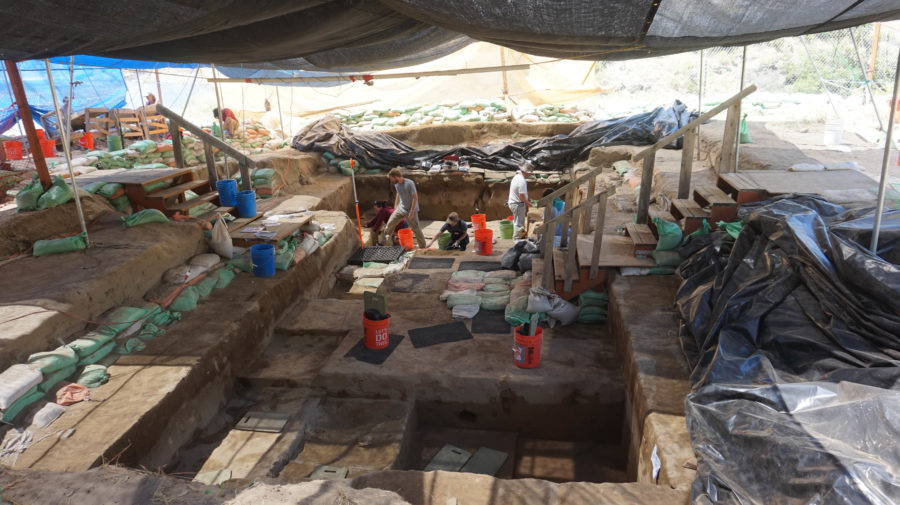 Archaeological site reveals humans arrived in the Americas more than ...