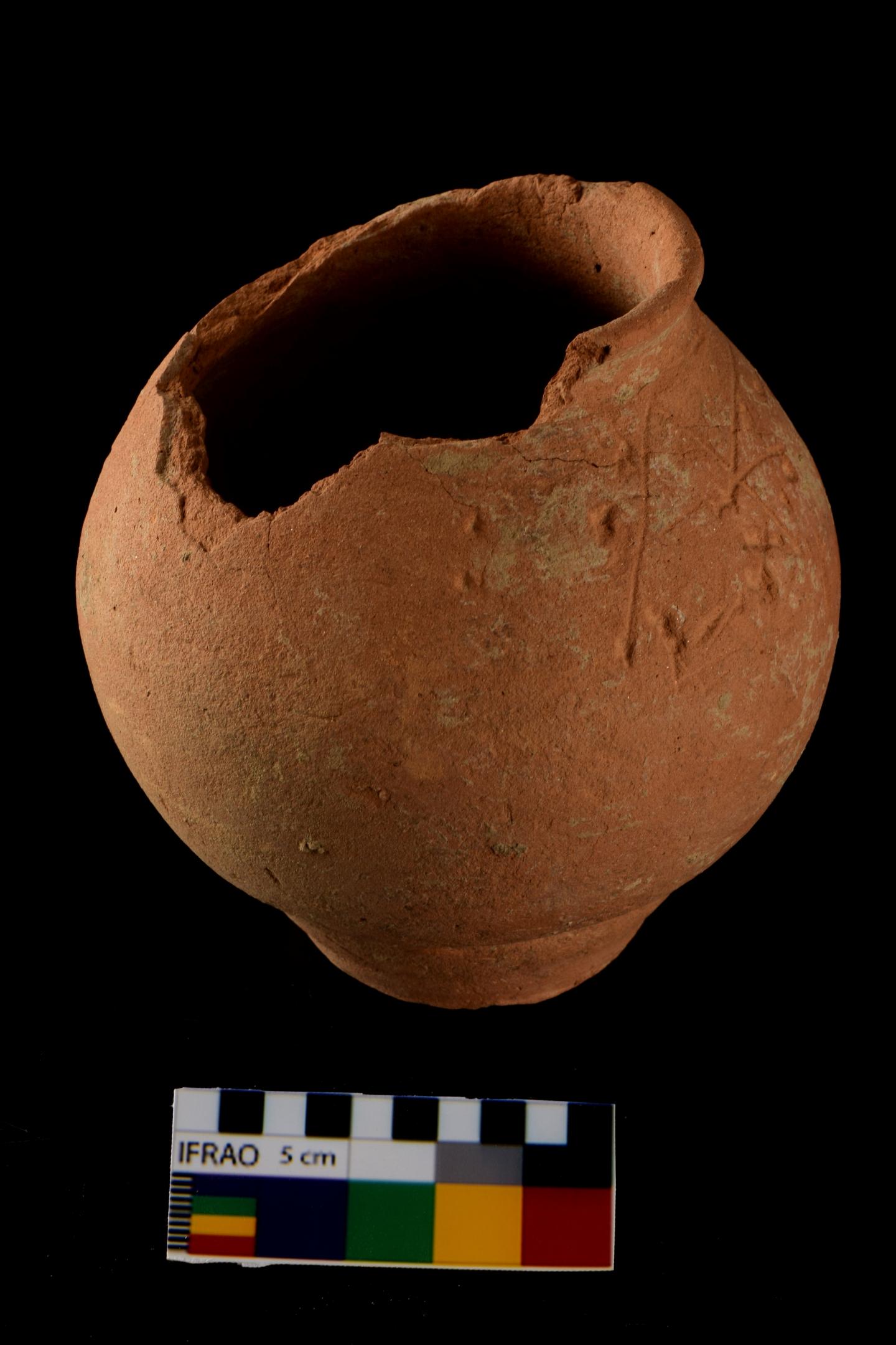 First ancient DNA from Indus Valley civilization links its people to ...
