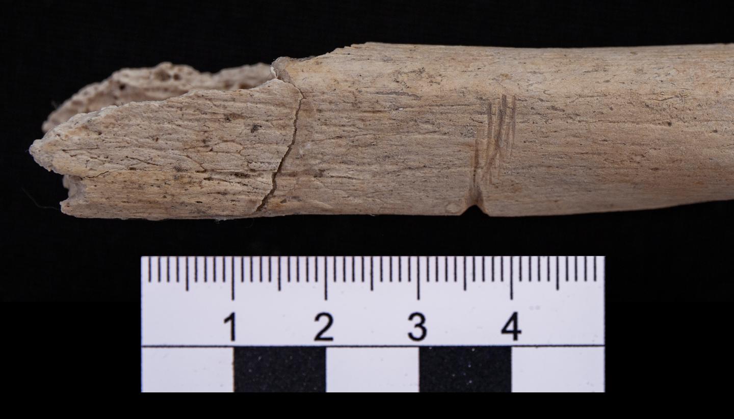 Analysis points to ancient Maya prisoners of war – Popular Archeology