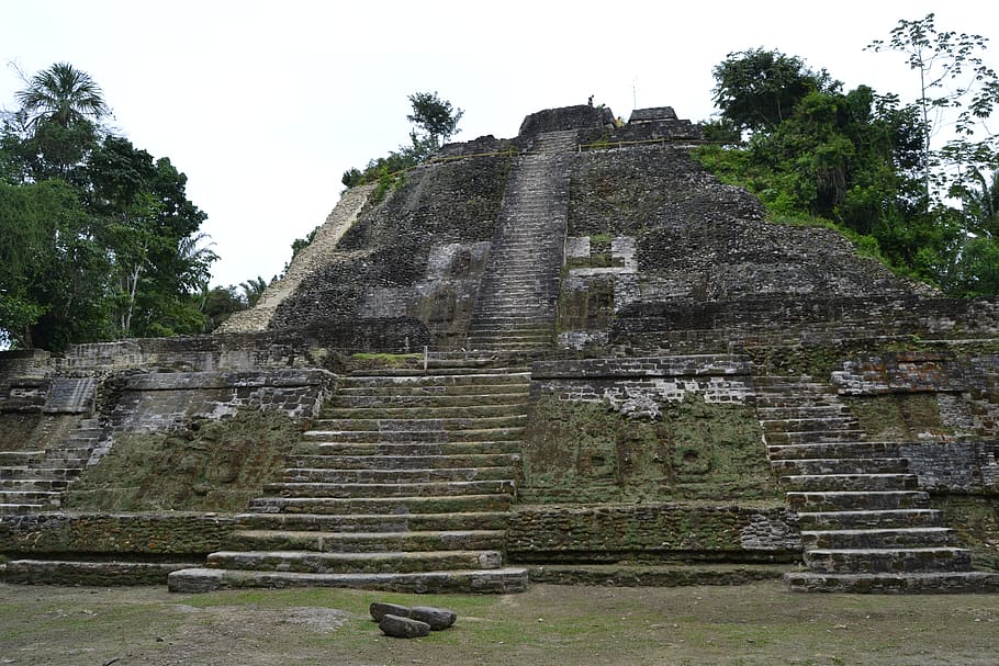 Rainforest Kingdoms: Maya Archaeology under the Canopy – Popular Archeology