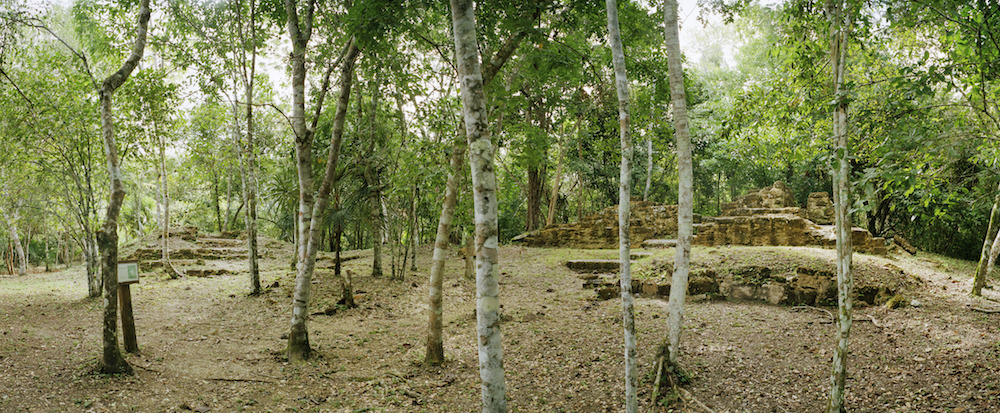 Rainforest Kingdoms: Maya Archaeology under the Canopy – Popular Archeology