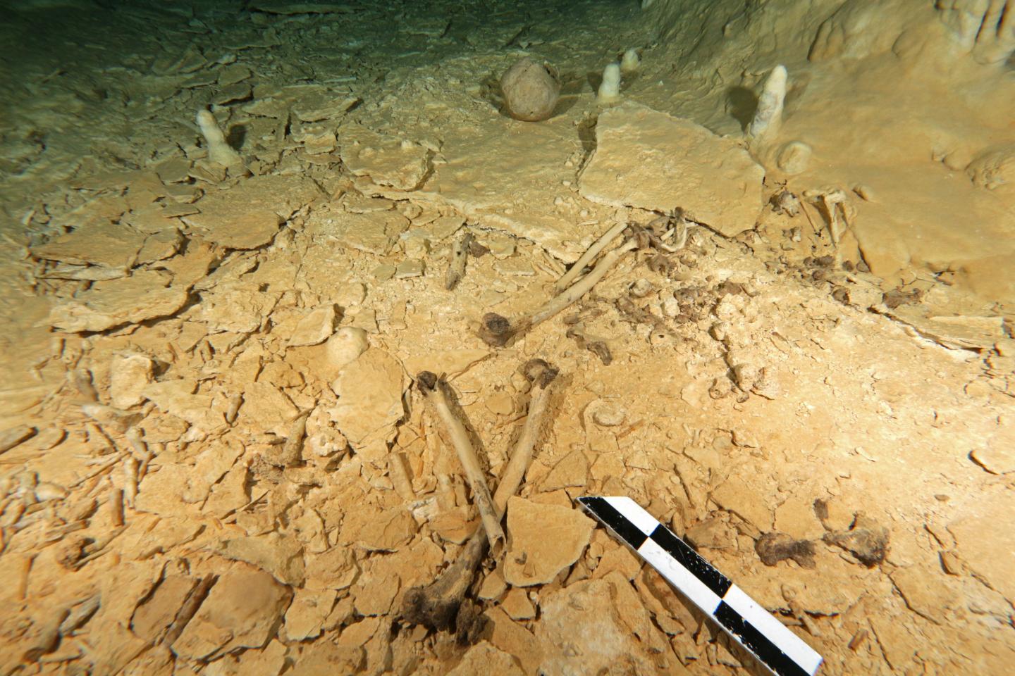 Prehistoric skeleton discovered in Southern Mexico – Popular Archeology