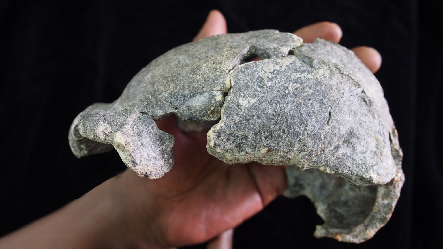 New Homo erectus Fossils Hint at Diverse Tool Use – Popular Archeology