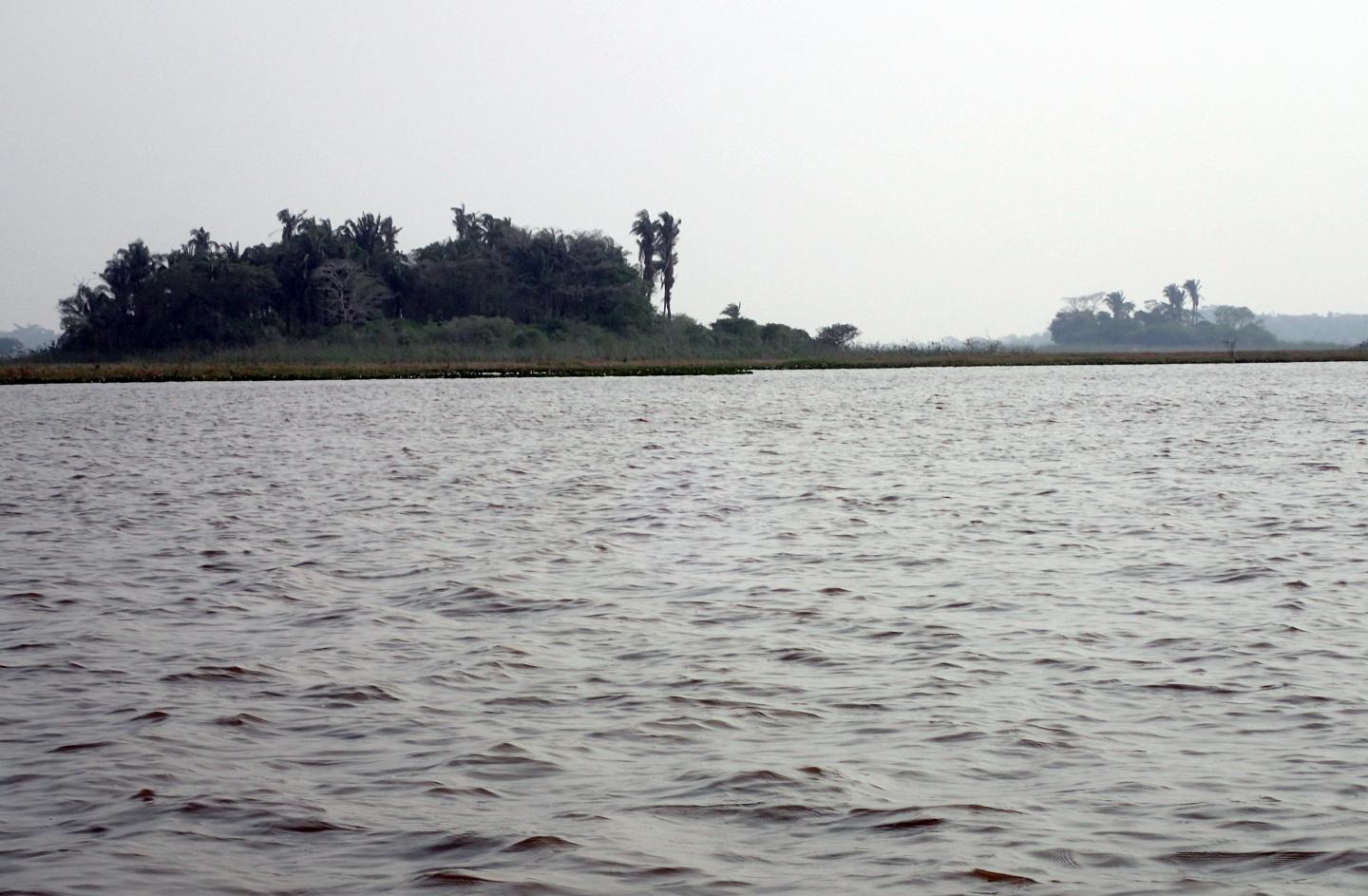 Earliest humans in the Amazon created thousands of ‘forest islands’ as ...