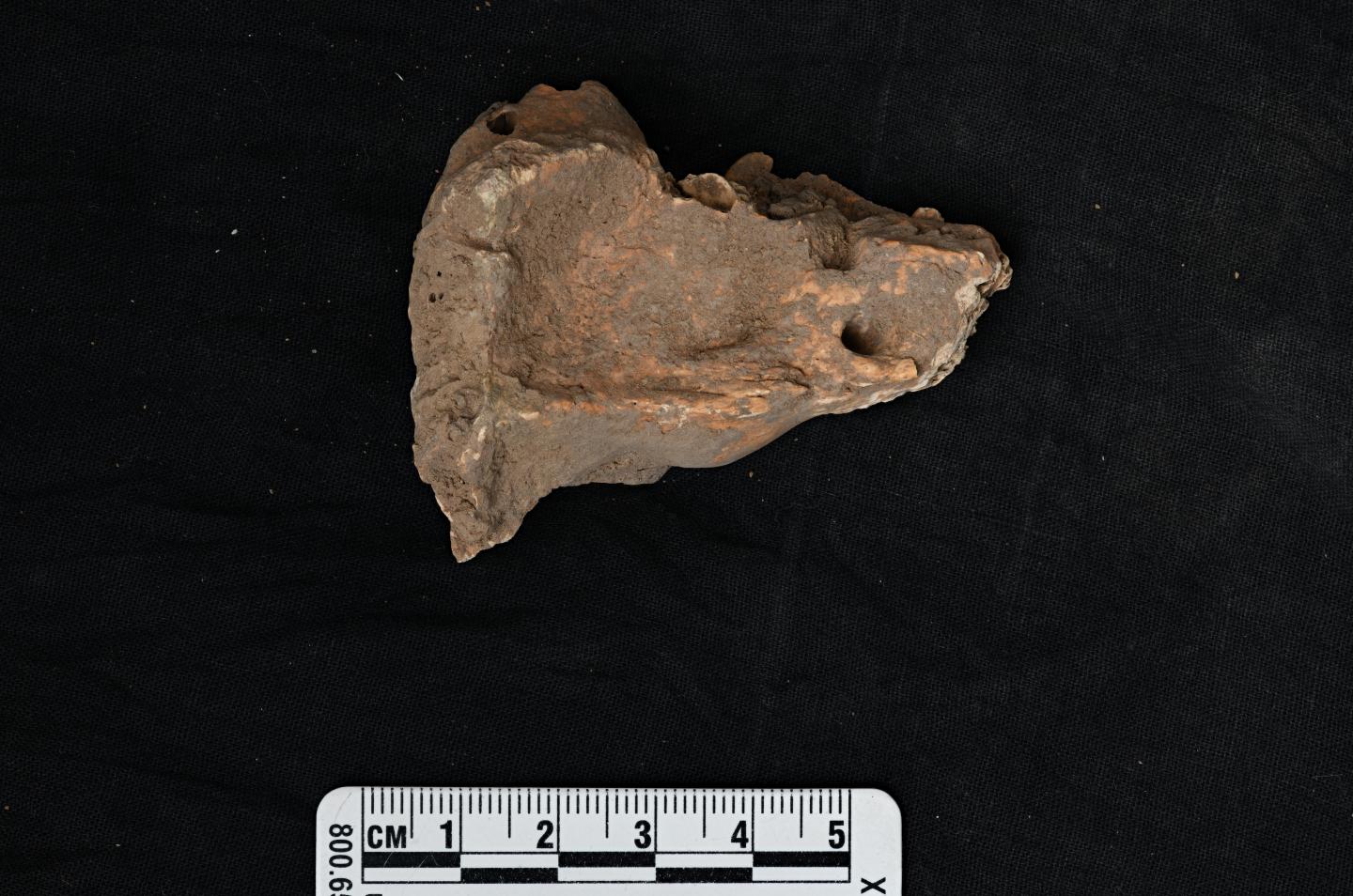 Ancient DNA unveils important missing piece of human history – Popular ...
