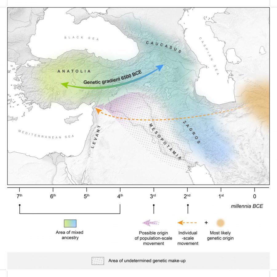 Genomic analysis shows long-term genetic mixing in West Asia before ...