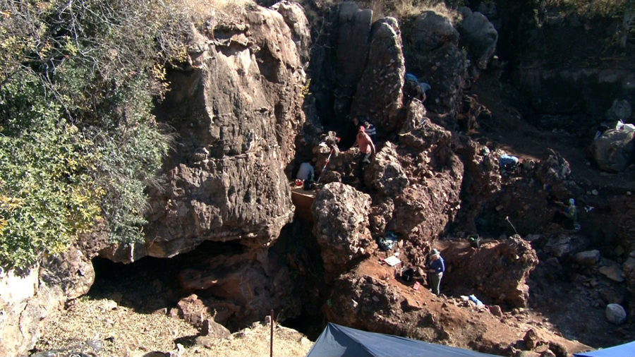 The Remarkable Skulls of Drimolen – Popular Archeology