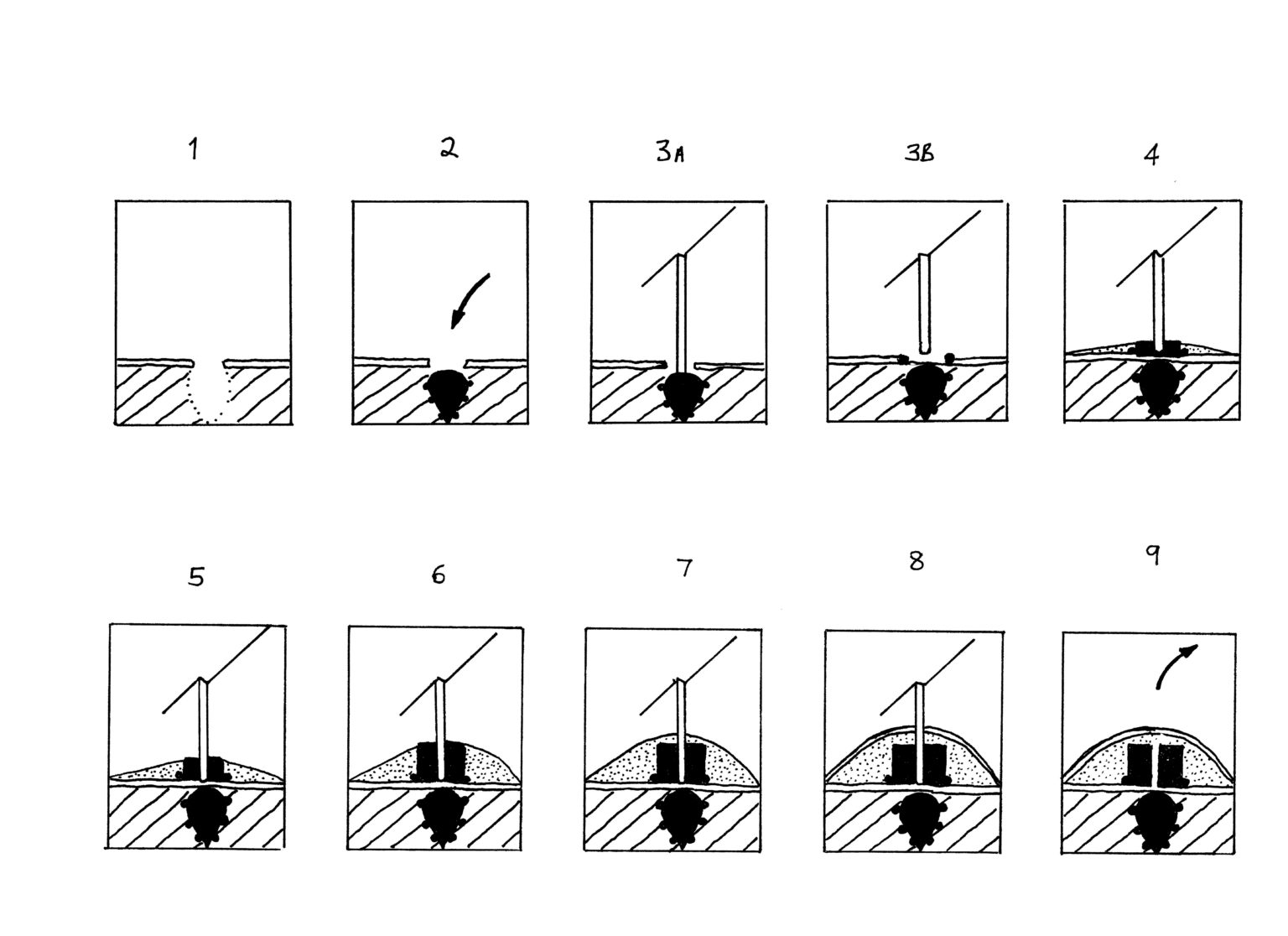 The Mystery of the Tumuli – Popular Archeology