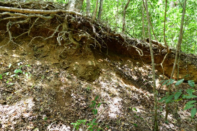 The Mystery of the Tumuli – Popular Archeology