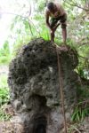 The Mystery of the Tumuli – Popular Archeology