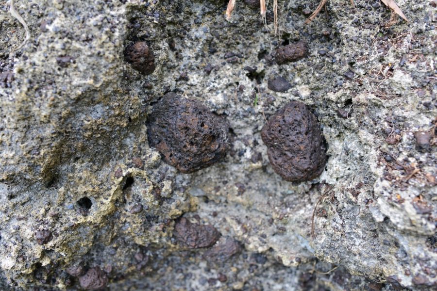 The Mystery of the Tumuli – Popular Archeology