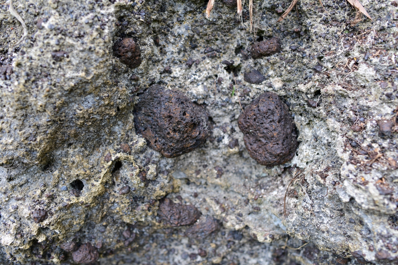 The Mystery of the Tumuli – Popular Archeology