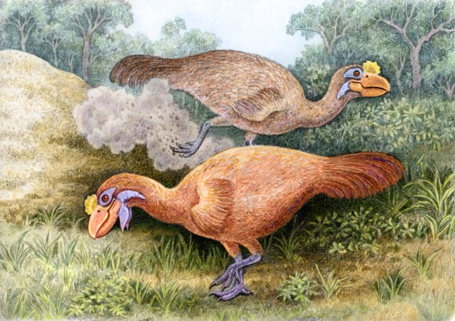 The Mystery of the Tumuli – Popular Archeology