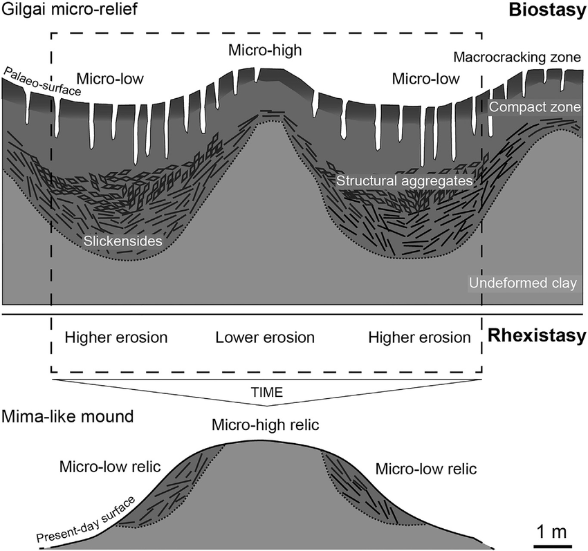 The Mystery of the Tumuli – Popular Archeology