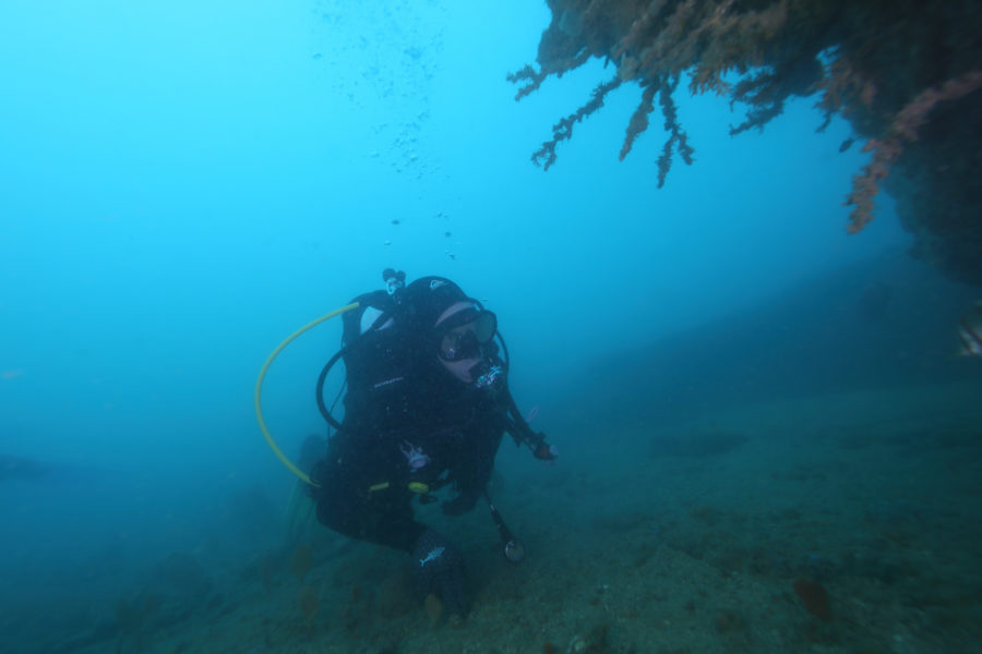 Aboriginal artifacts reveal first ancient underwater cultural sites in ...