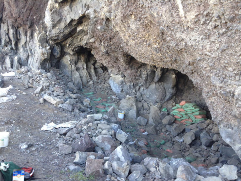 Fecal Biomarkers Confirm That Ancient Humans Left Behind Fossilized ...