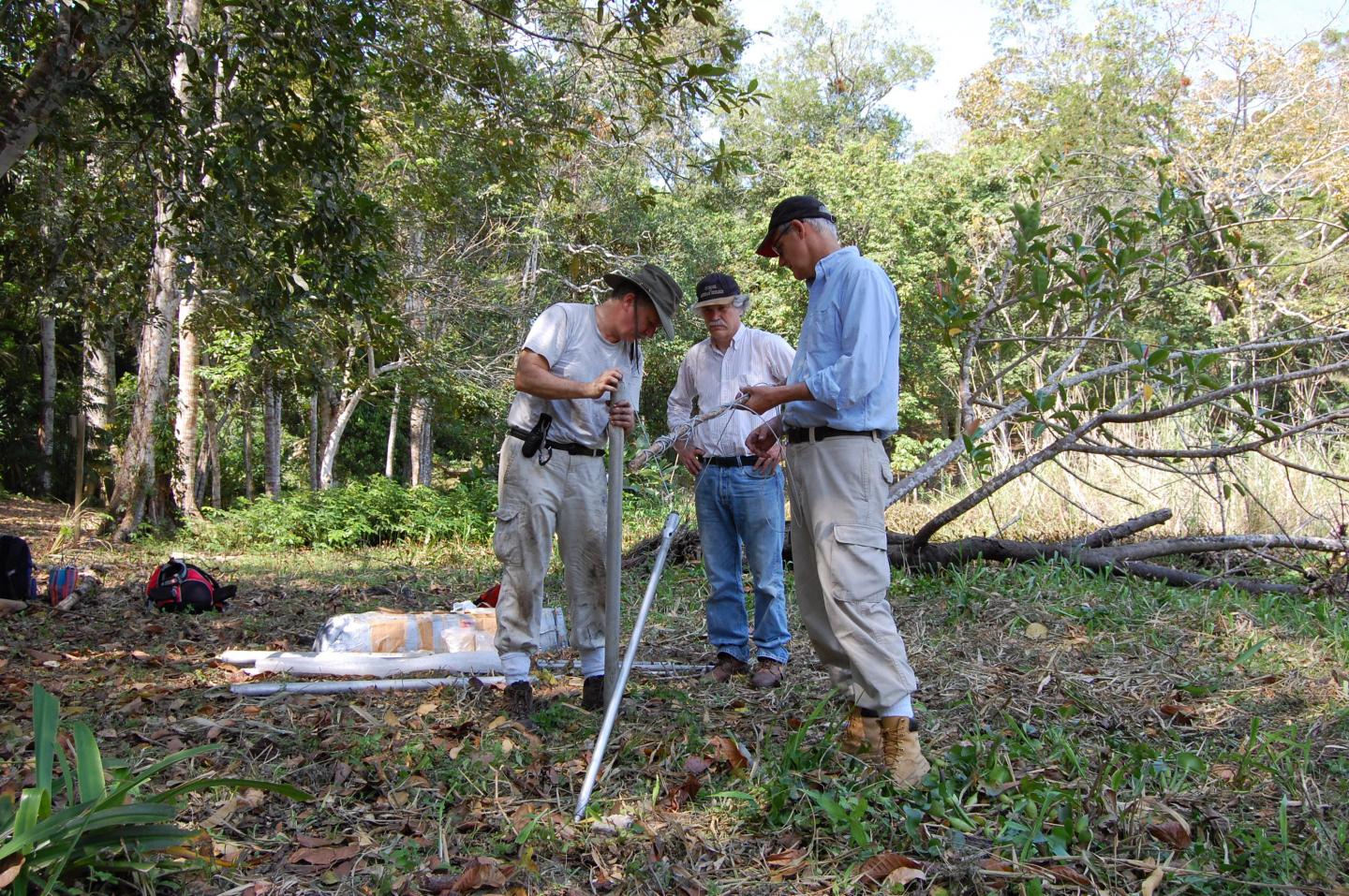 Ancient Maya built sophisticated water filters – Popular Archeology