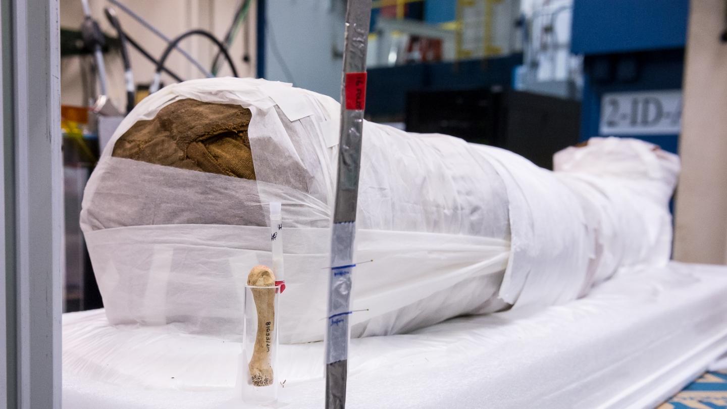 Under wraps: X-rays reveal 1,900-year-old mummy’s secrets – Popular ...