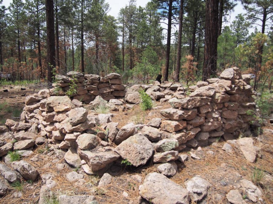 Learning from Native American fire management – Popular Archeology