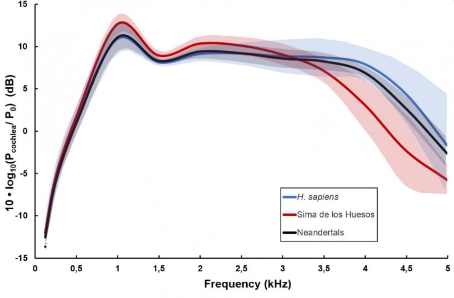Neanderthals had the capacity to perceive and produce human speech ...