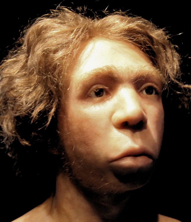 Neanderthal genes altered neurodevelopment in modern human brain ...