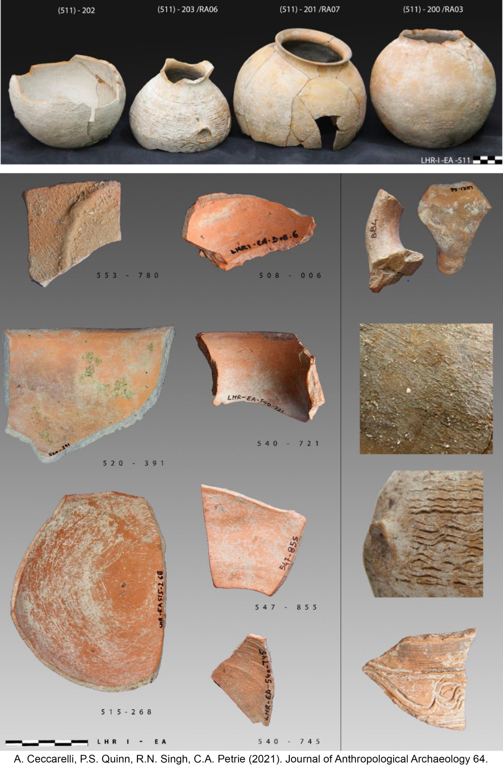 Rediscovering the ancient social networks and industries of Indus ...