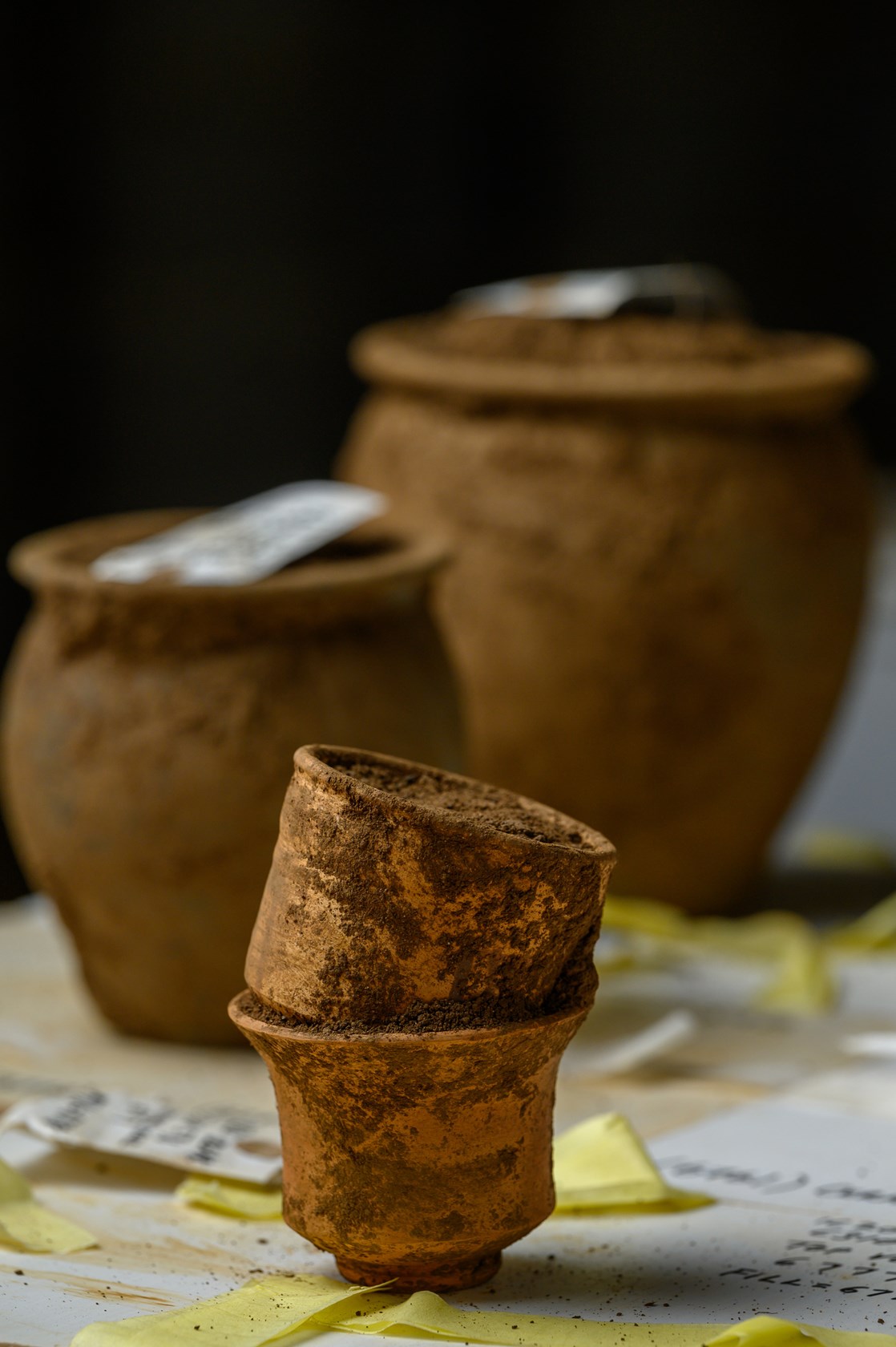HS2 archaeologists uncover vast Roman trading settlement in ...