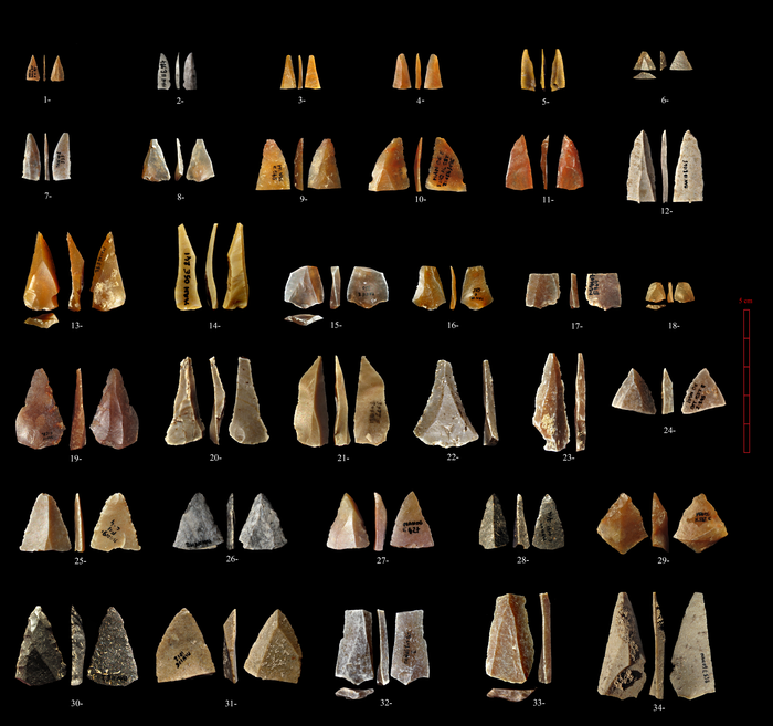 Fossils suggest modern humans and Neanderthals alternately occupied a ...