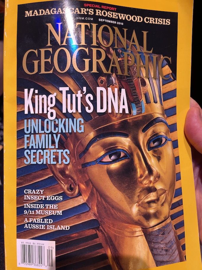 The Beyond Tut Immersive Experience – Popular Archeology