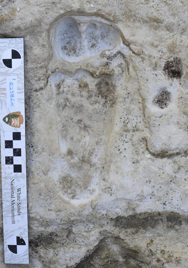 Footprints in Time – Popular Archeology