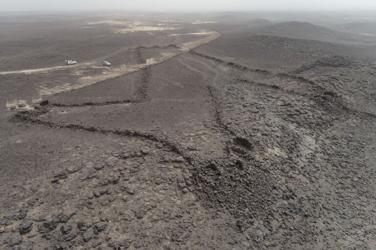 Massive Late Neolithic animal traps in Arabia have archaeologists ...
